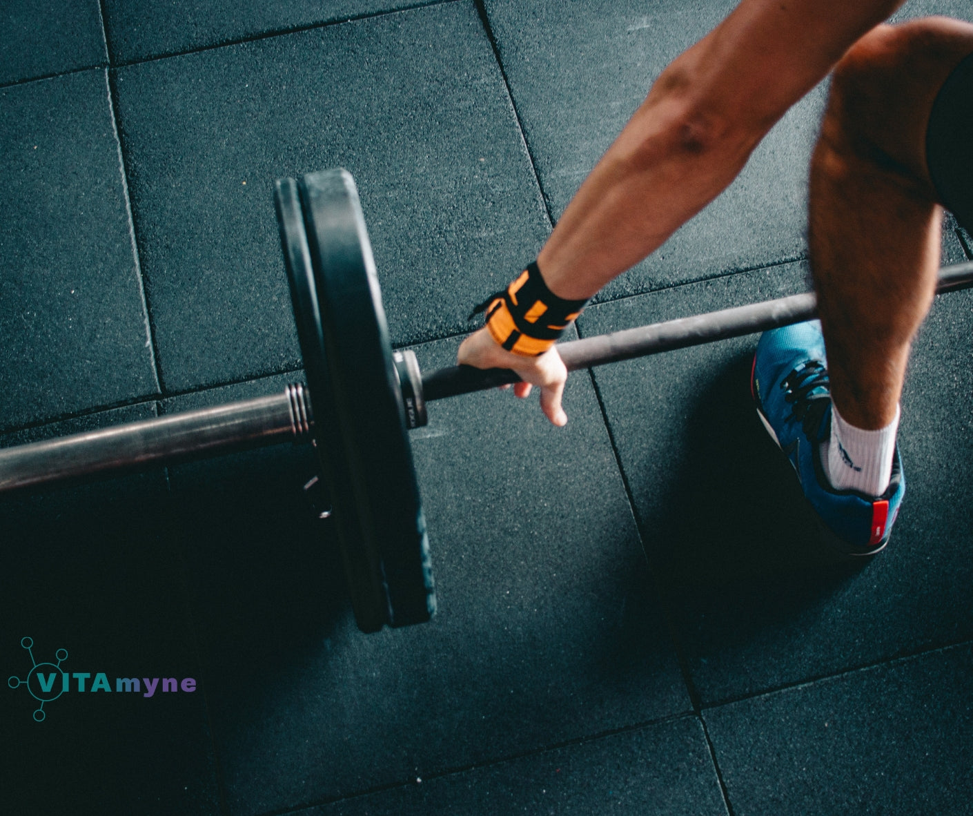 Der stille Held unter den Aminosäuren - L-Alanin – Vitamyne